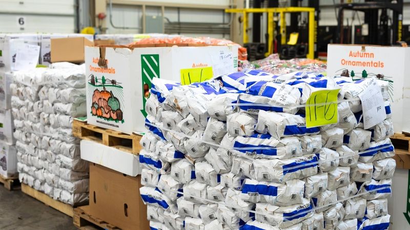 How are Recent USDA Cuts Affecting Food Banks?